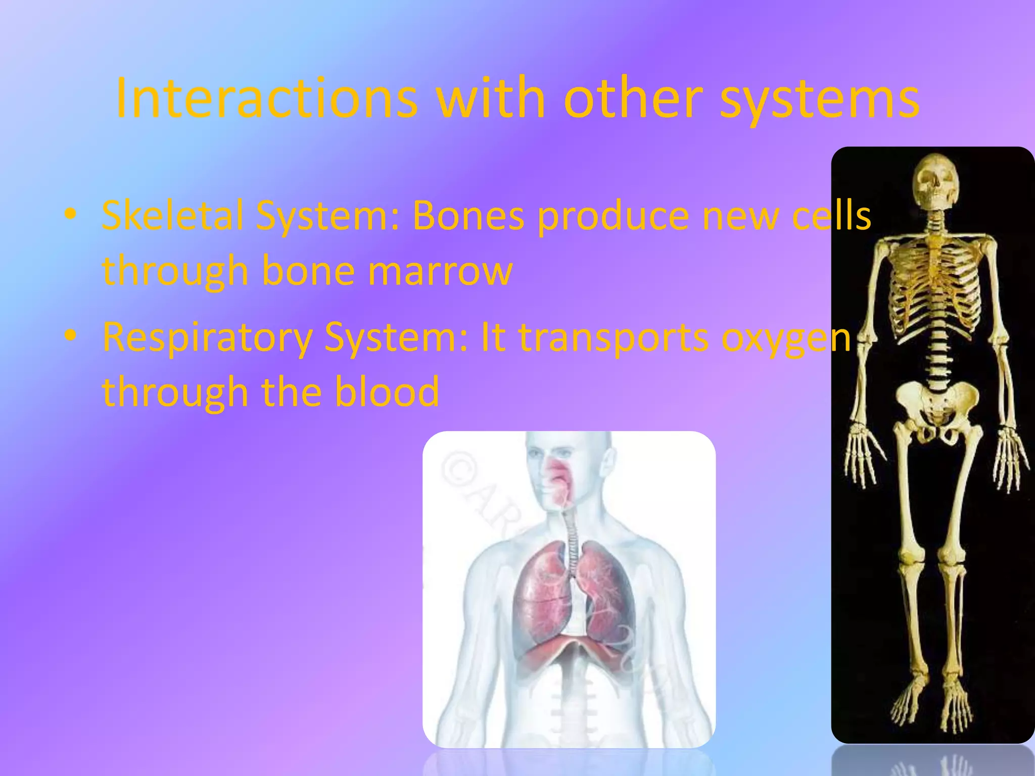 Circulatory system | PPTX | Heart and Cardiovascular Diseases ...
