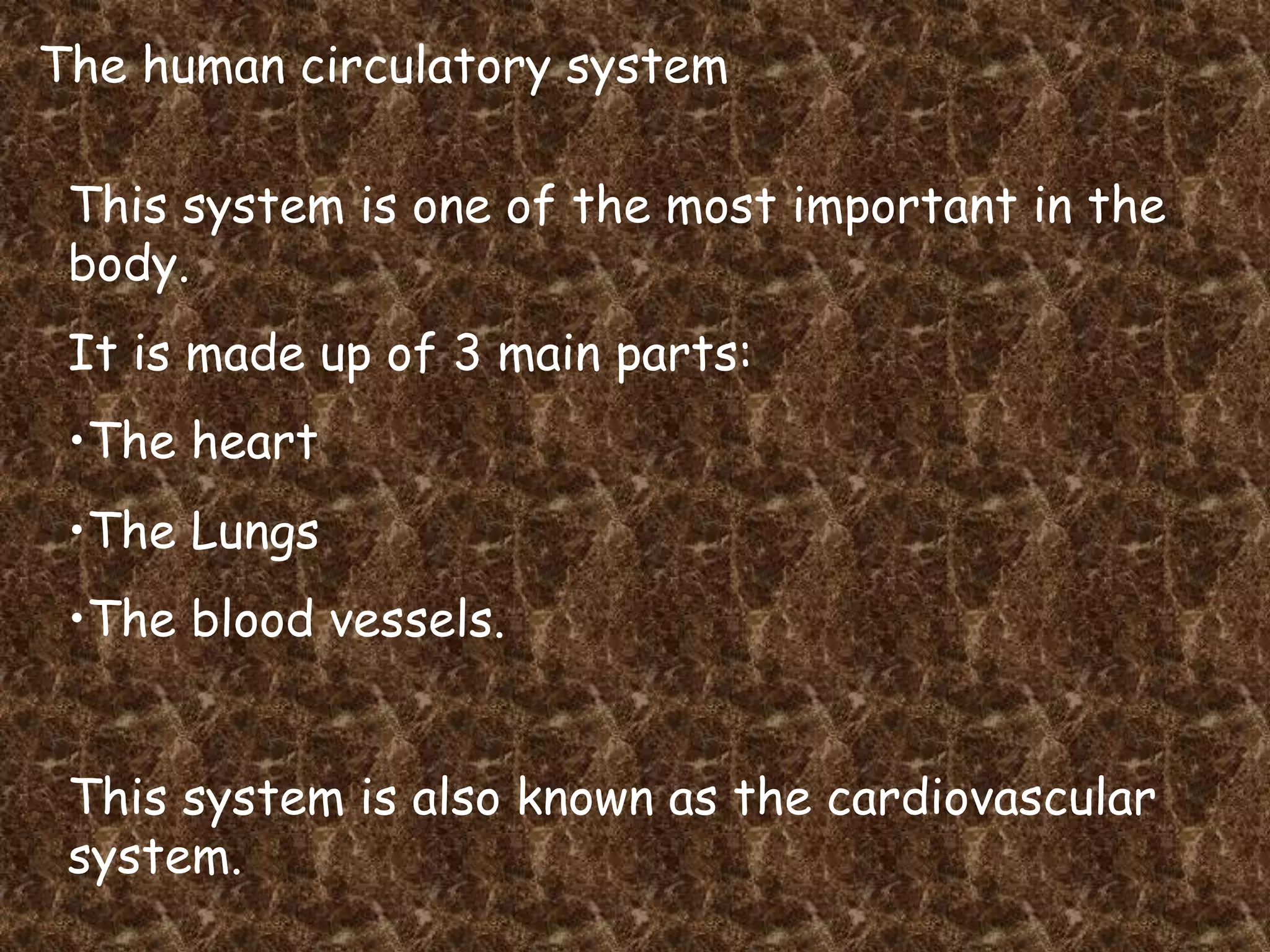 Circulatory system pdf | PDF
