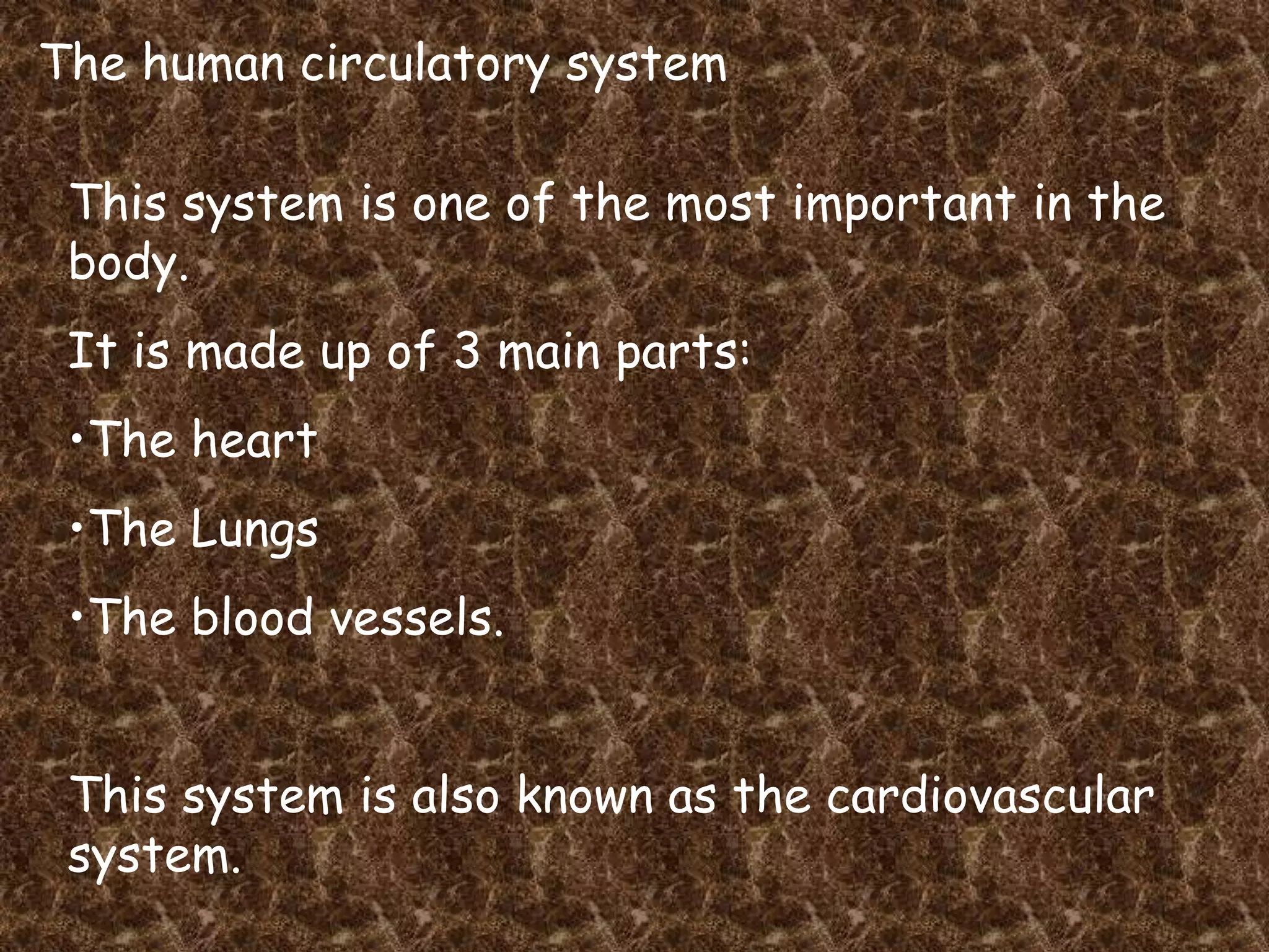 Circulatory system pdf | PPTX