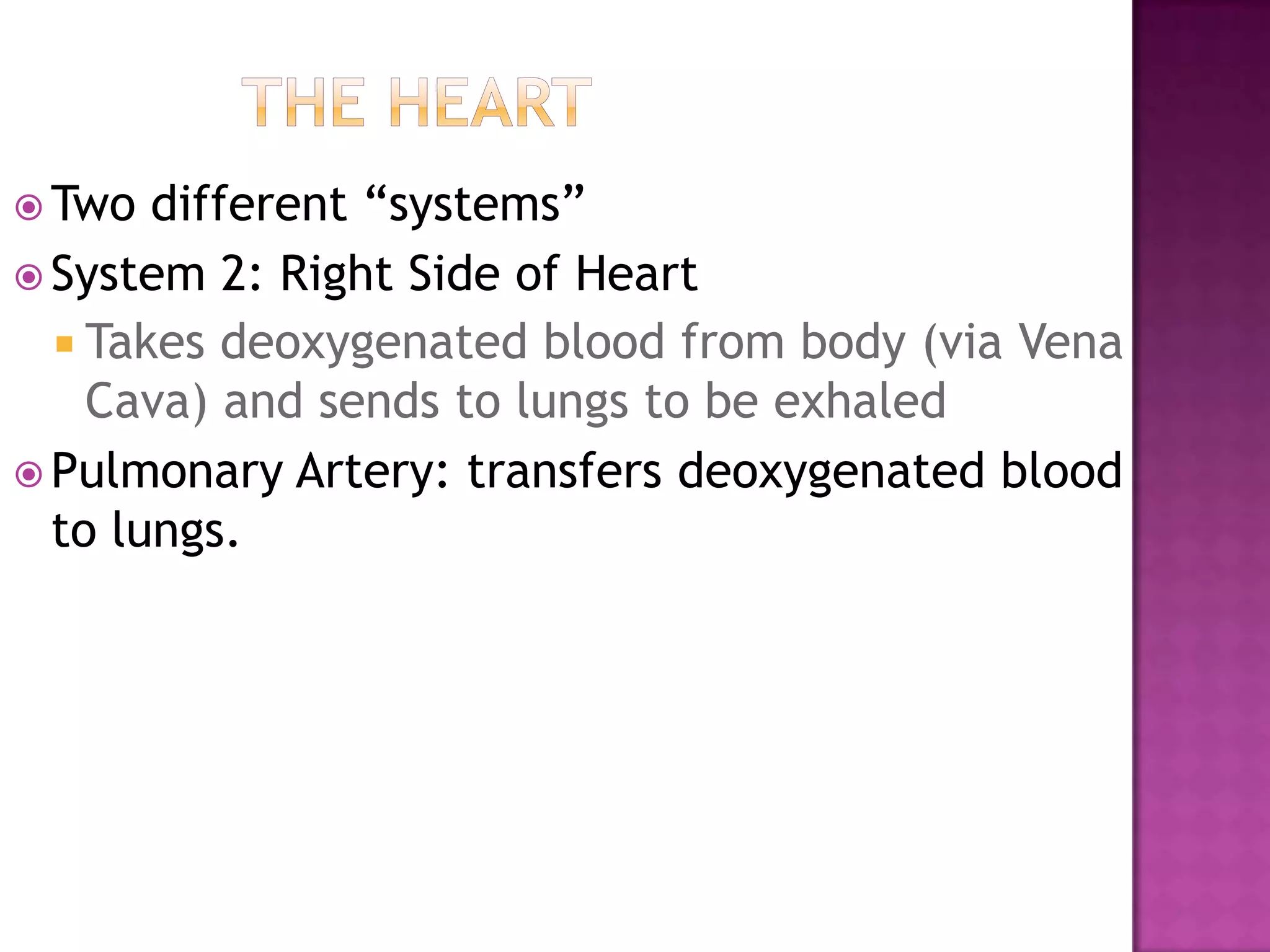 Circulatory system power point | PPT