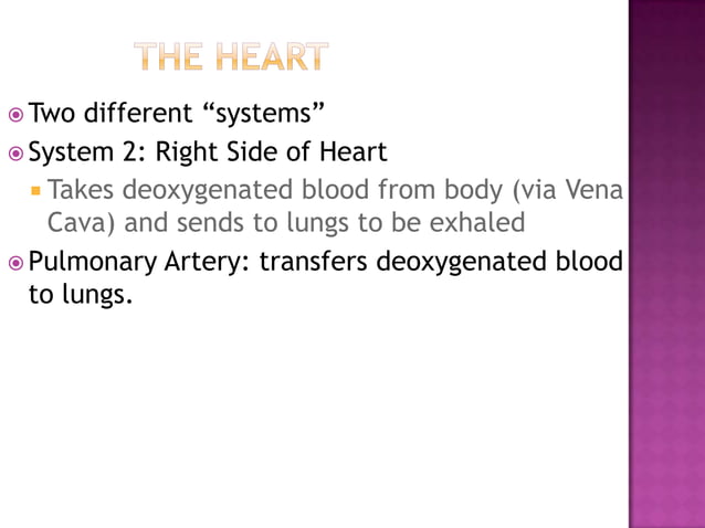 Circulatory system power point | PPT
