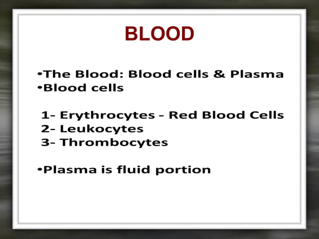 circulatory system biology lab for first | PDF