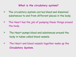 Circulatory System Ppt | PPT