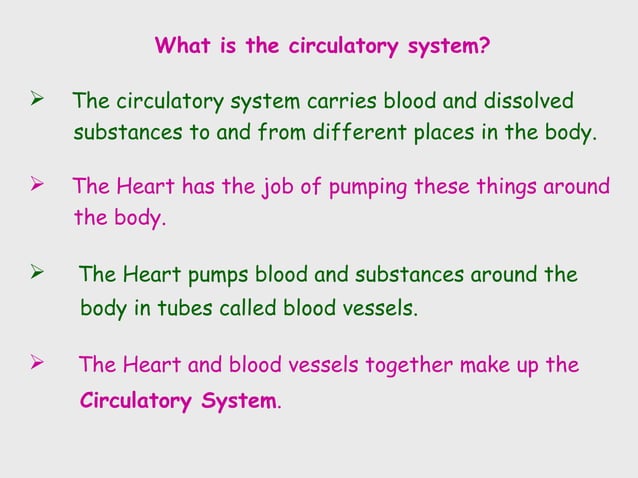 Circulatory System Ppt | PPT