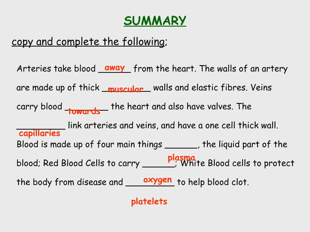 Circulatory System Ppt | PPT