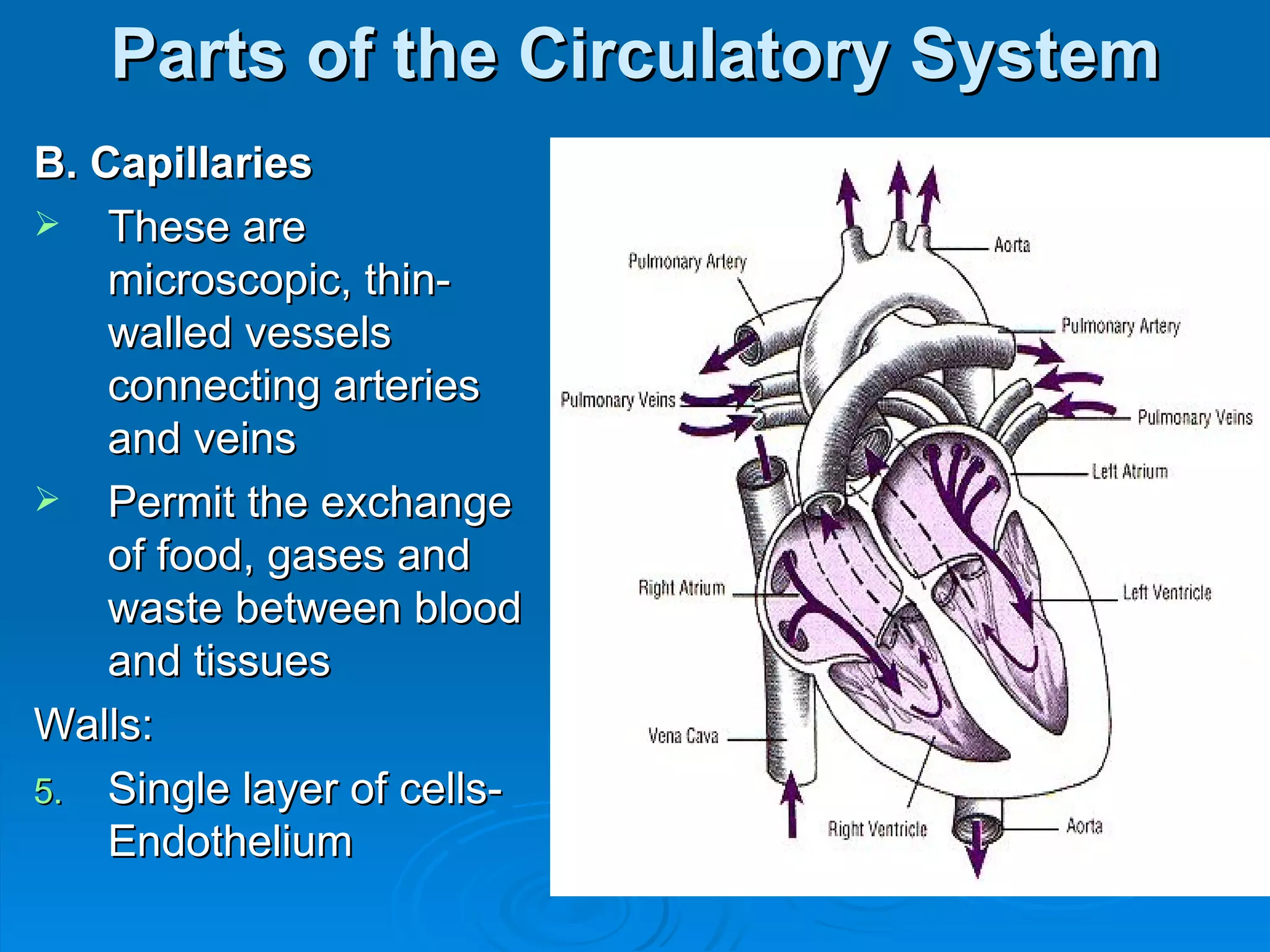 CIRCULATORY SYSTEM | PPT