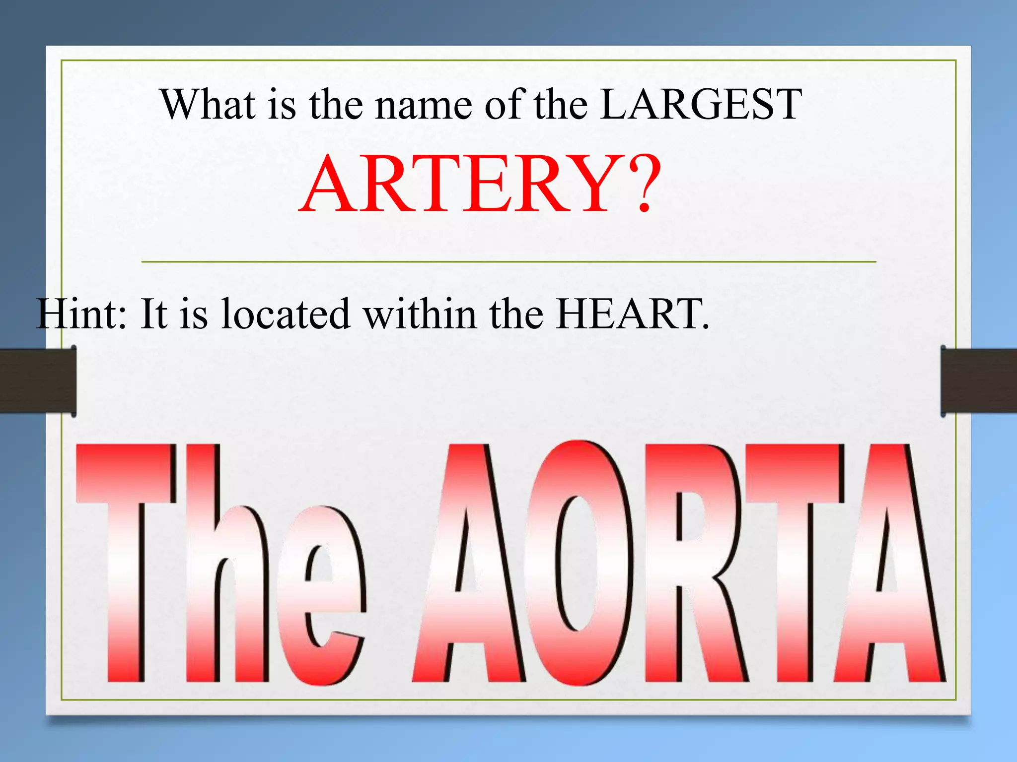 Circulatory system ppt | PPT