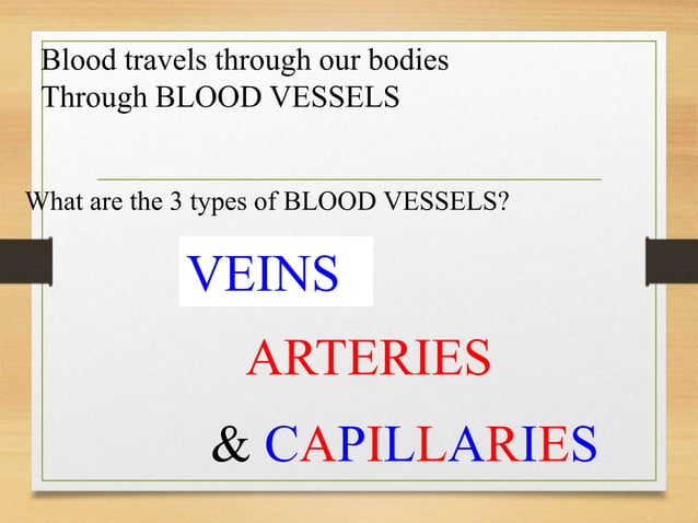 Circulatory system ppt | PPT | Heart and Cardiovascular Diseases ...