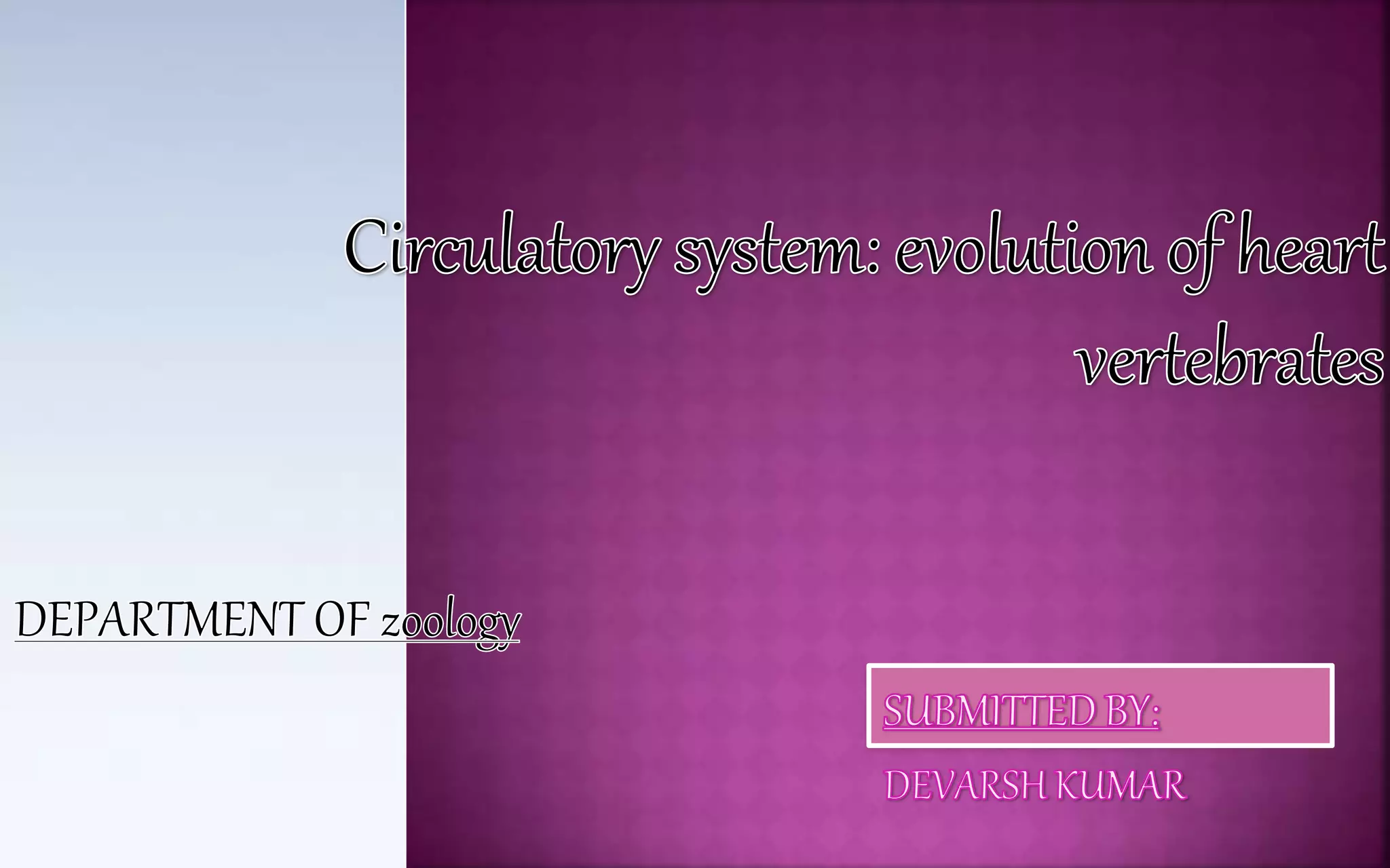 Circulatory system ppt | PPTX