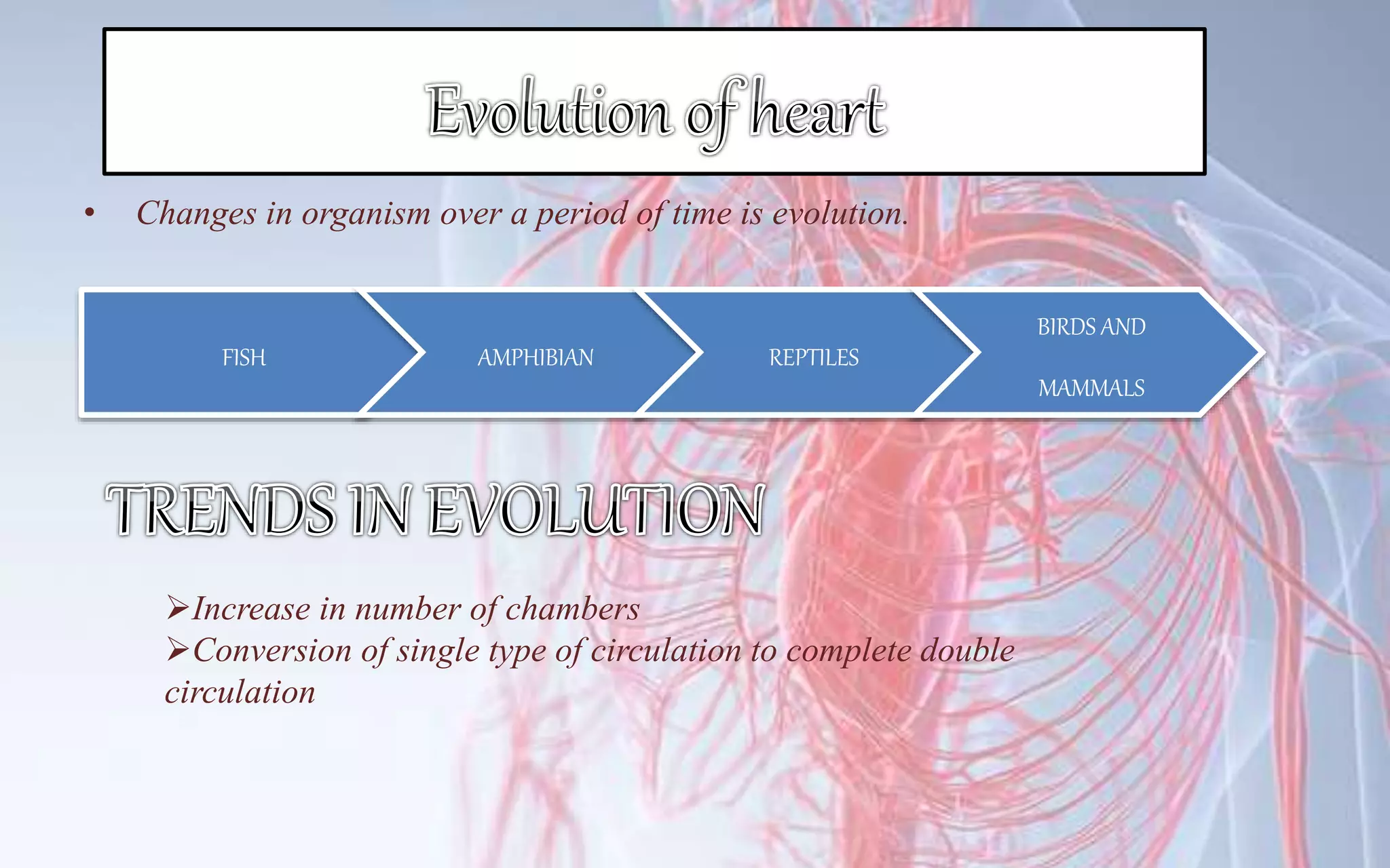 Circulatory system ppt | PPTX