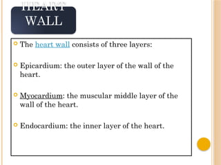 Circulatory system PPT details of .pptx