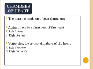 Circulatory system PPT details of .pptx