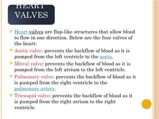 Circulatory system PPT details of .pptx