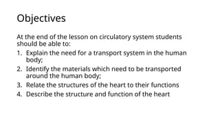 Circulatory System Powerpoint presentation | PPTX