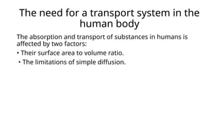 Circulatory System Powerpoint presentation | PPTX
