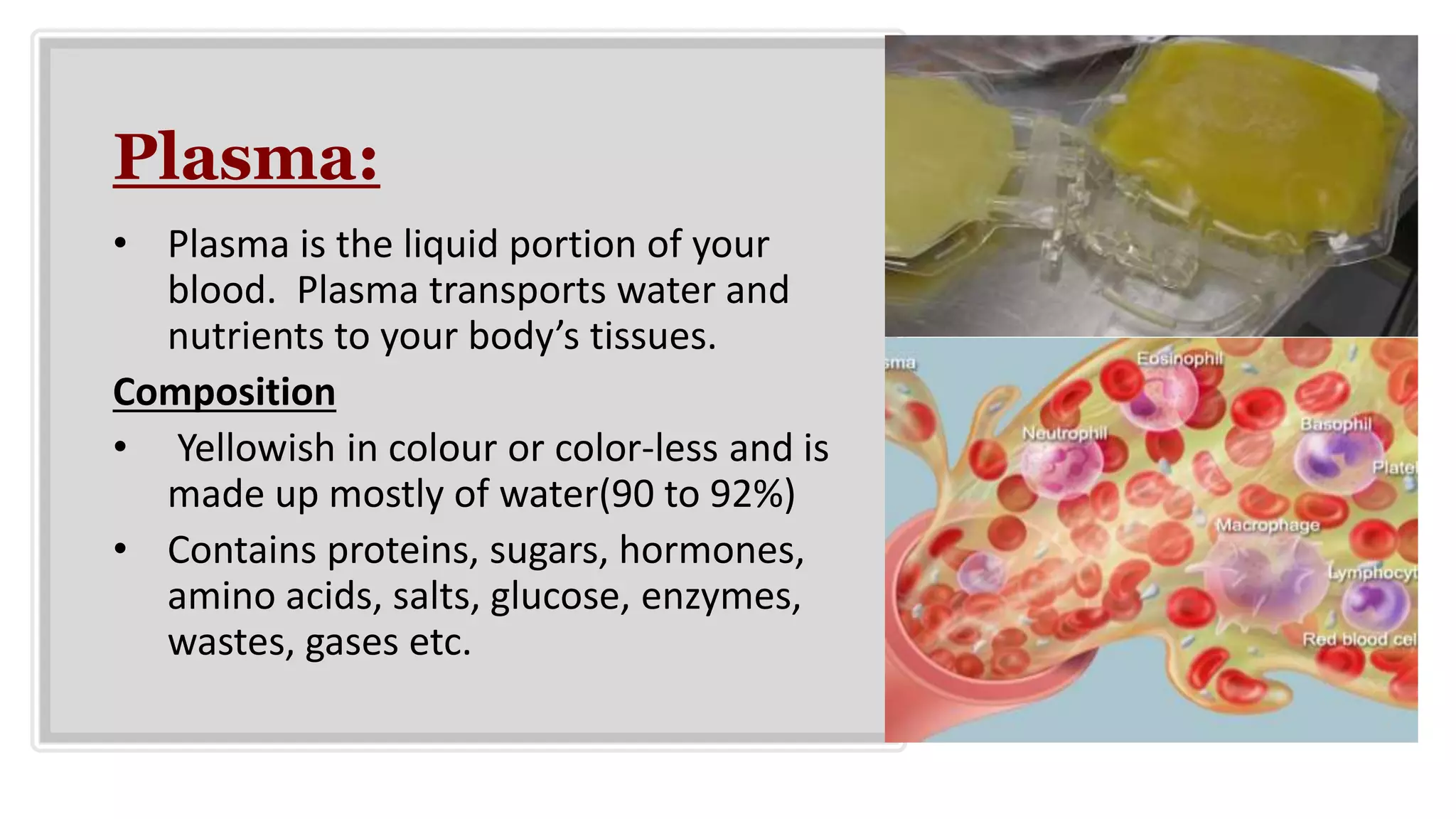 Circulatory system grade 9 | PPTX