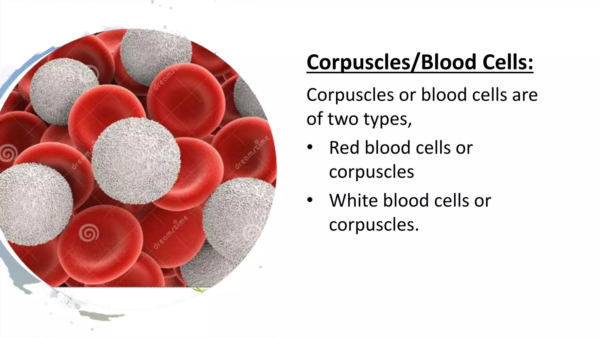 Circulatory system grade 9 | PPTX