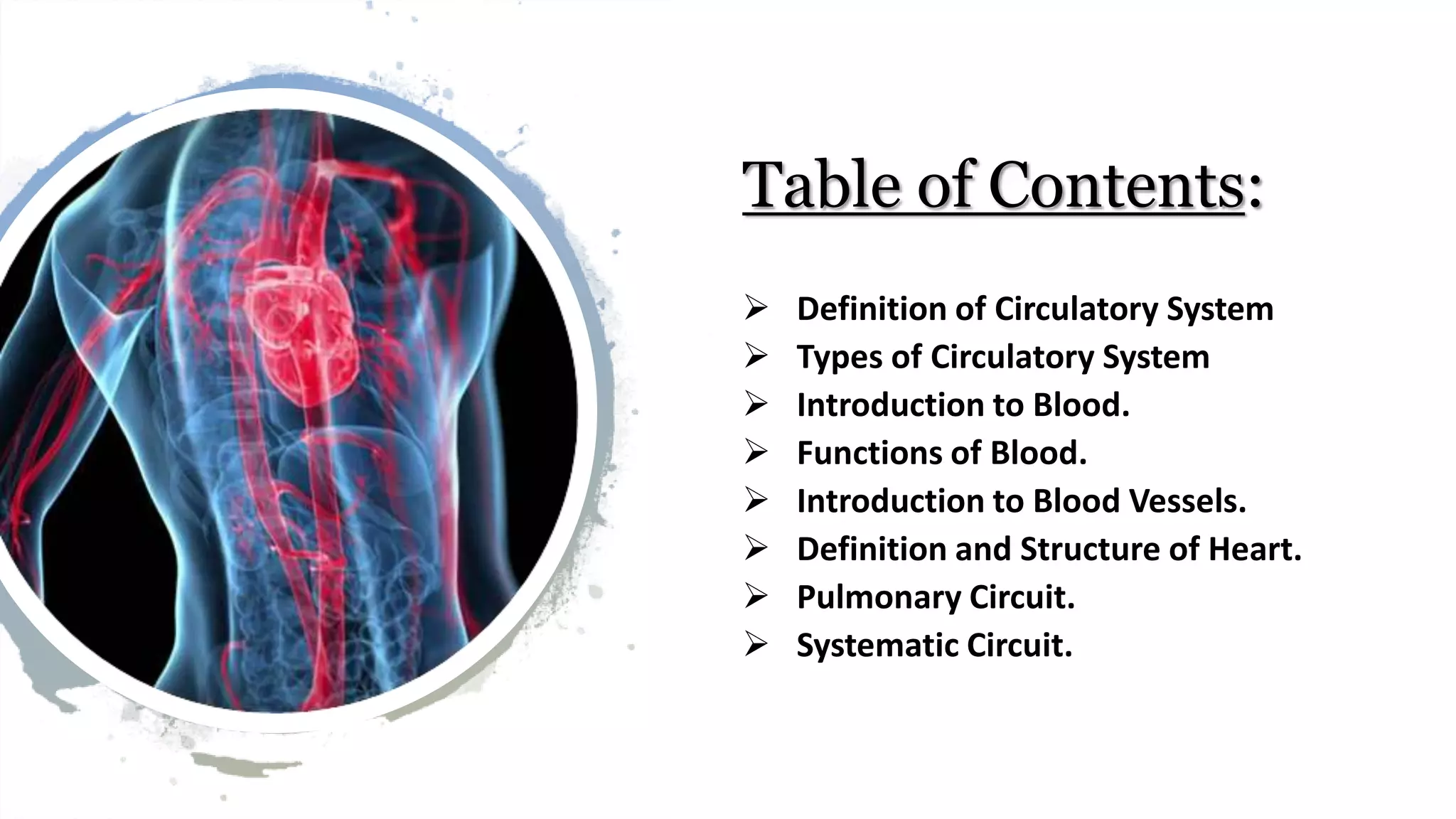 Circulatory system grade 9 | PPTX