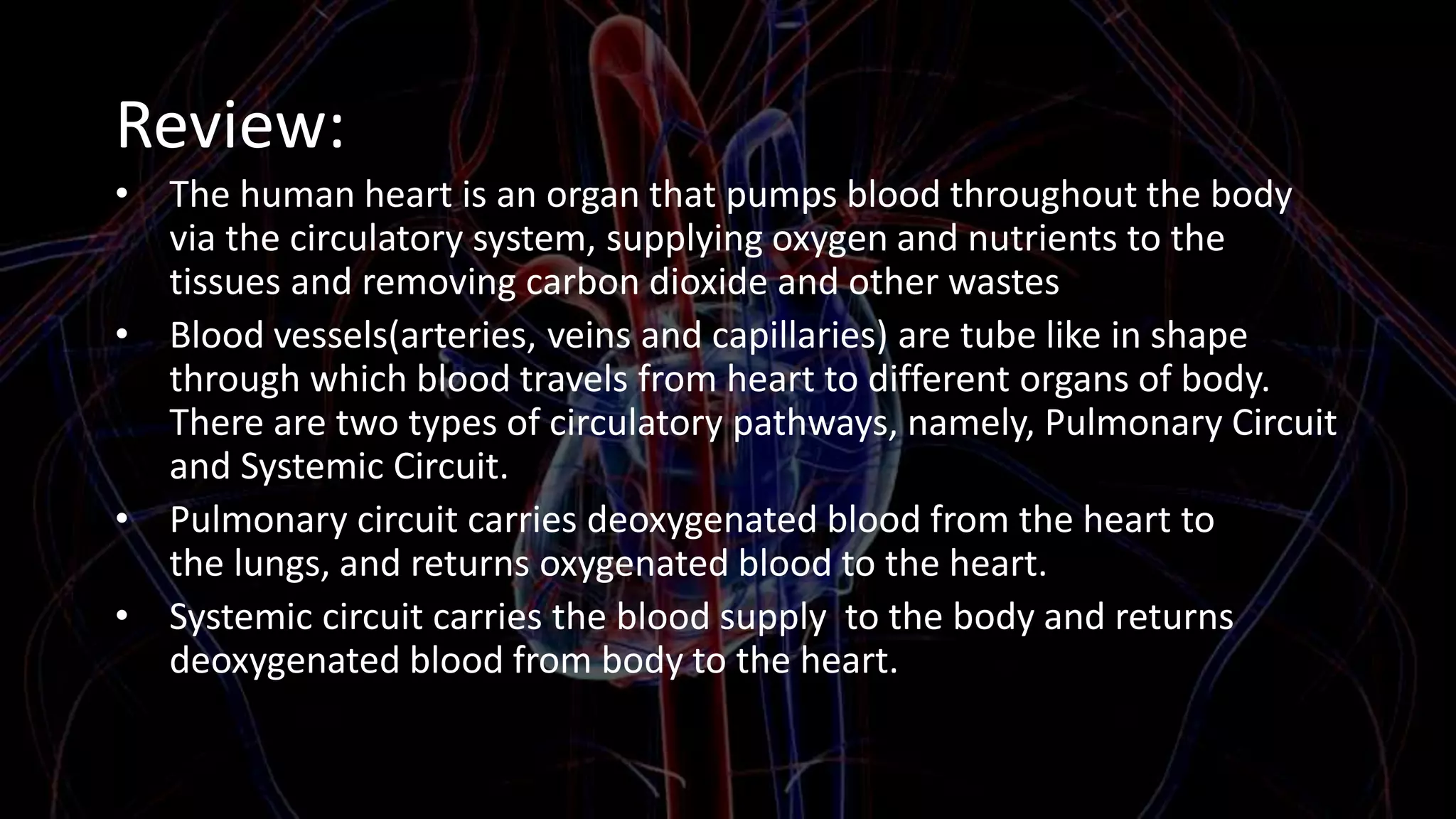 Circulatory system grade 9 | PPTX