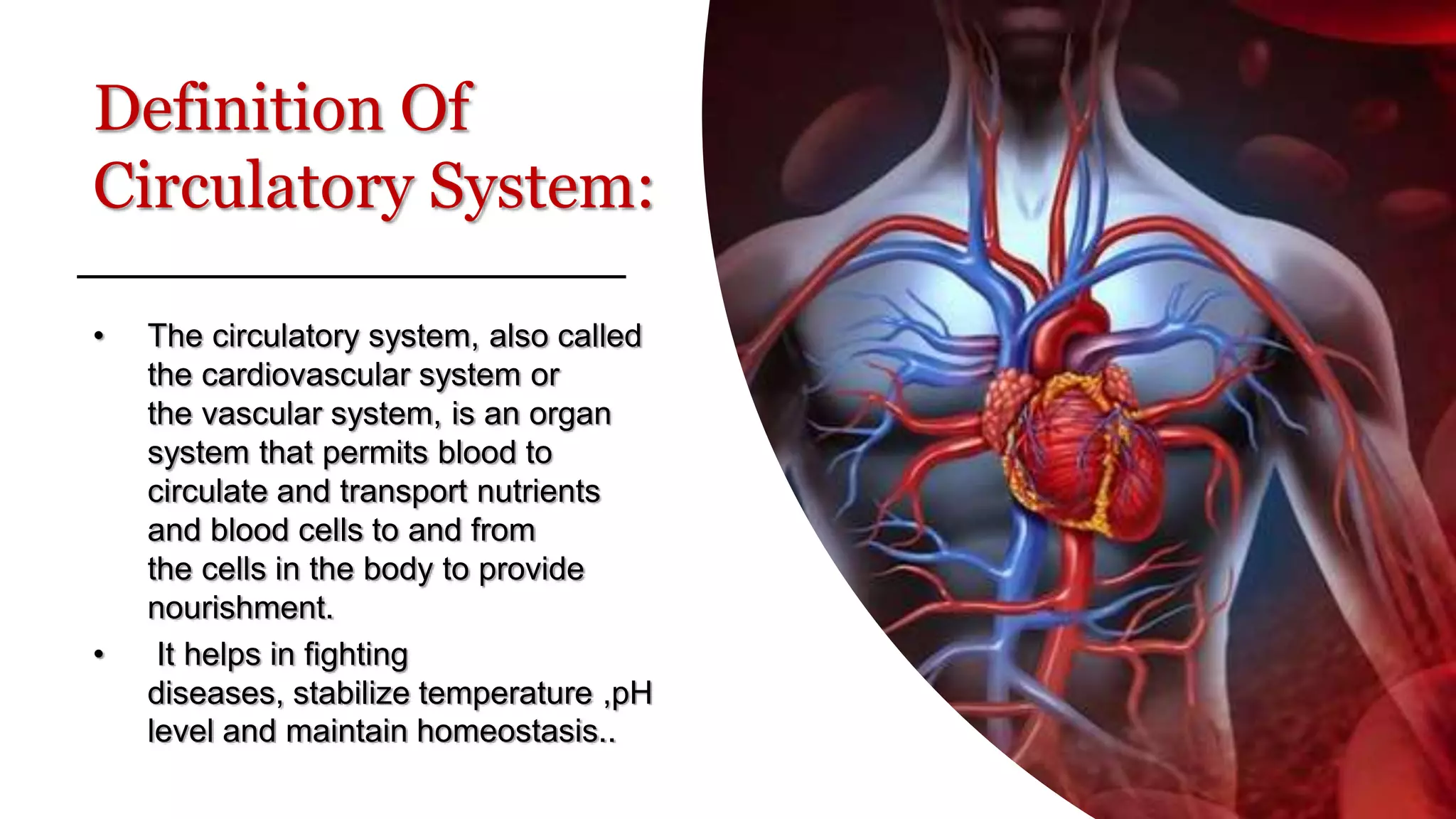 Circulatory system grade 9 | PPTX