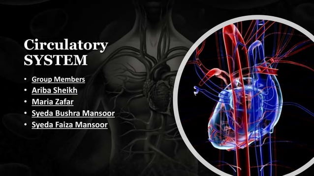 Circulatory system grade 9 | PPTX