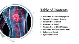 Circulatory system grade 9 | PPTX