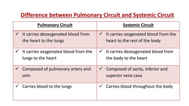 Circulatory system grade 9 | PPTX
