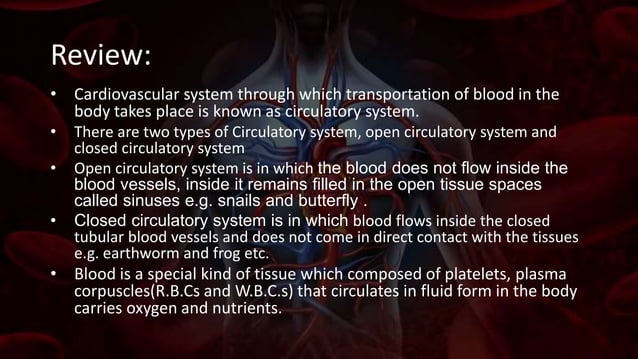 Circulatory system grade 9 | PPTX