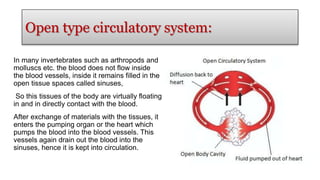 Circulatory system grade 9 | PPTX