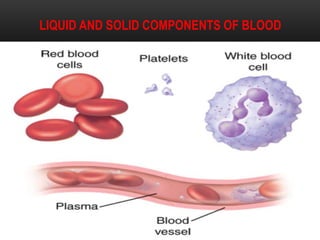Circulatory System Presentation.pptx