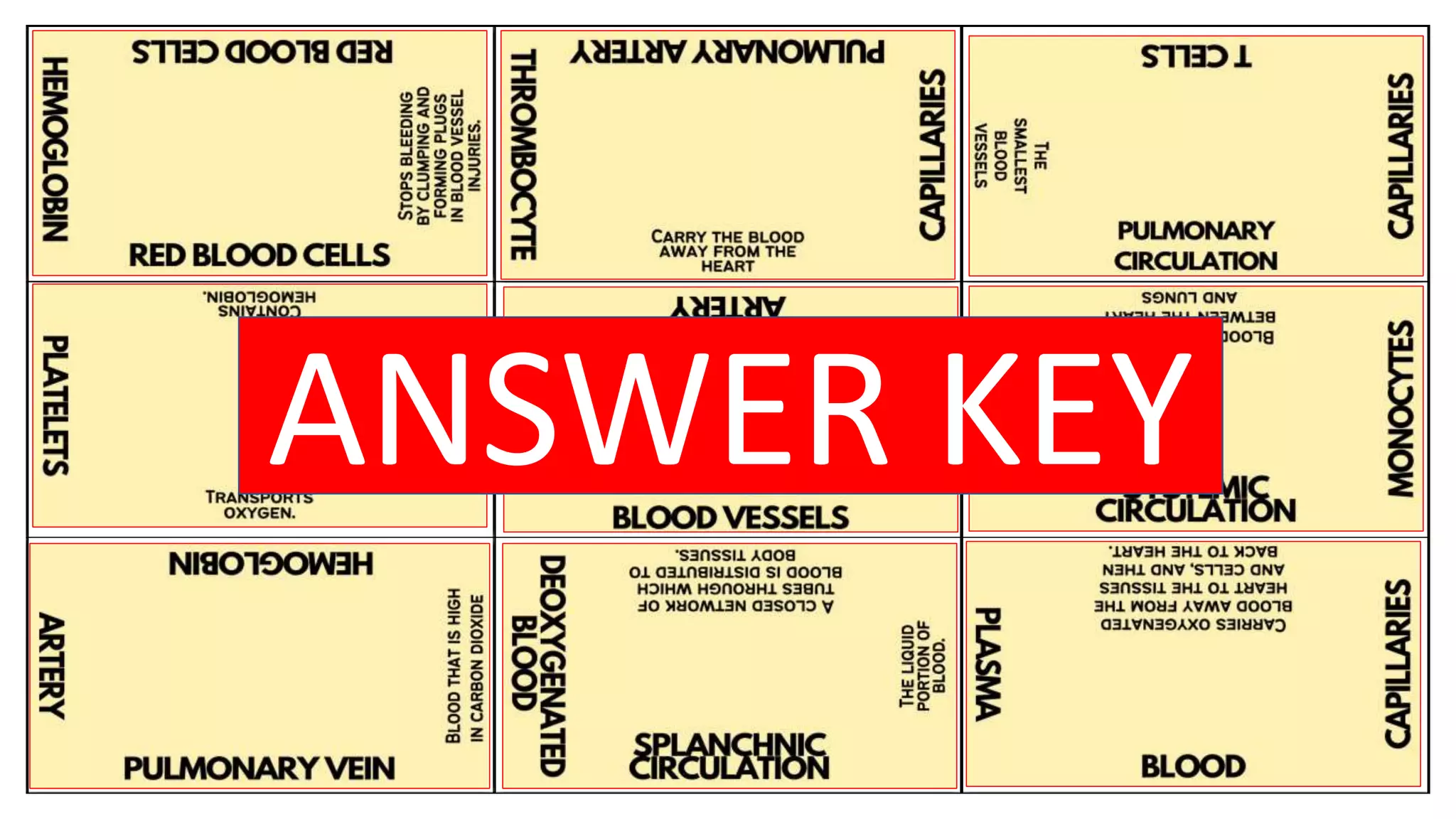 Circulatory System [Puzzle].pptx