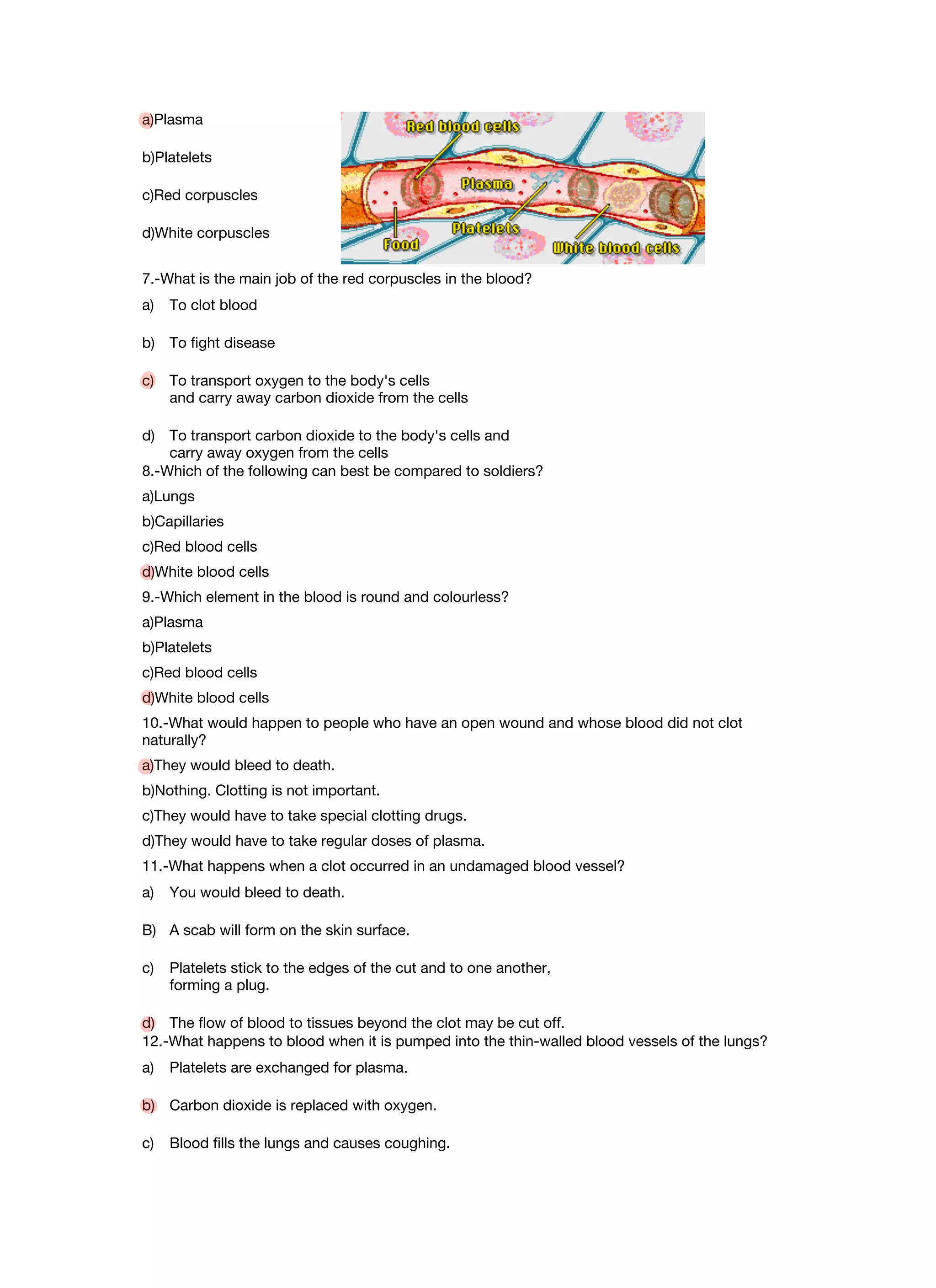Circulatory system questions | PDF
