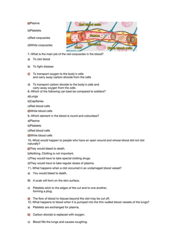 Circulatory system questions | PDF