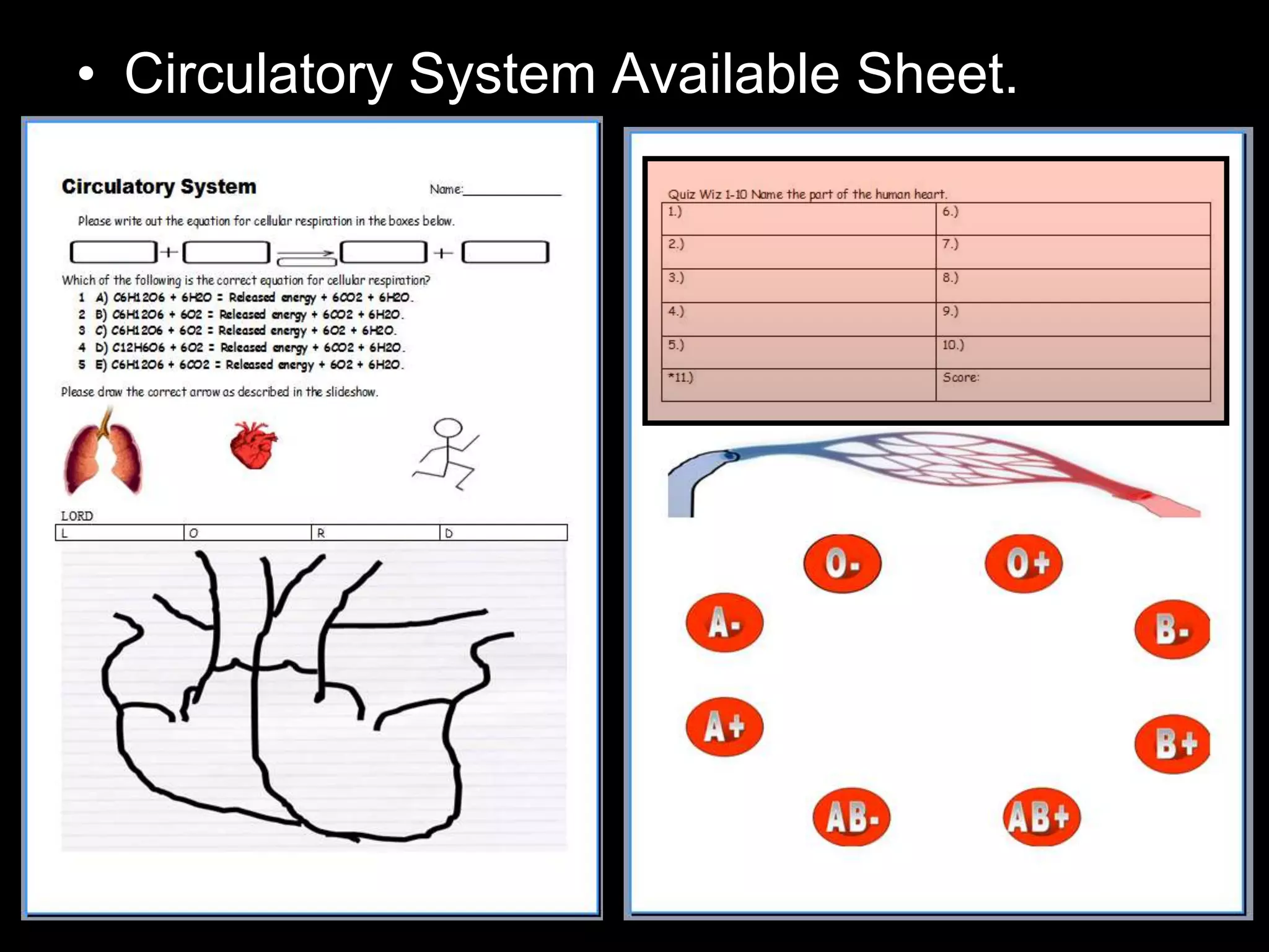 Human Heart Visual Quiz PowerPoint, Parts of the Heart, Chambers ...