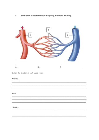Circulatory system reviewer | DOCX