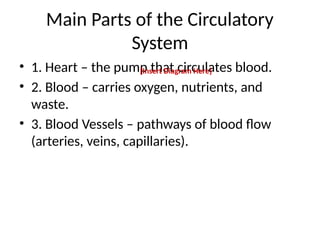 CirculatorySystem_Science6_withImages.pptx