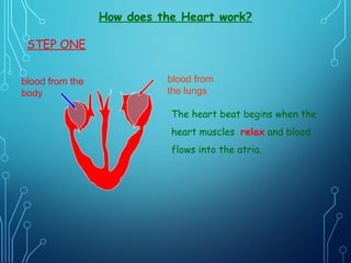 Circulatory system slideshare | PPT