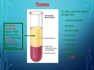 Circulatory system slideshare | PPT