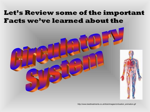 Circulatory system slide show | PPT | Heart and Cardiovascular Diseases ...