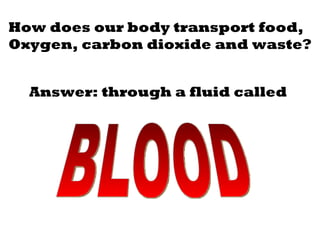 Circulatory system slide show | PPT