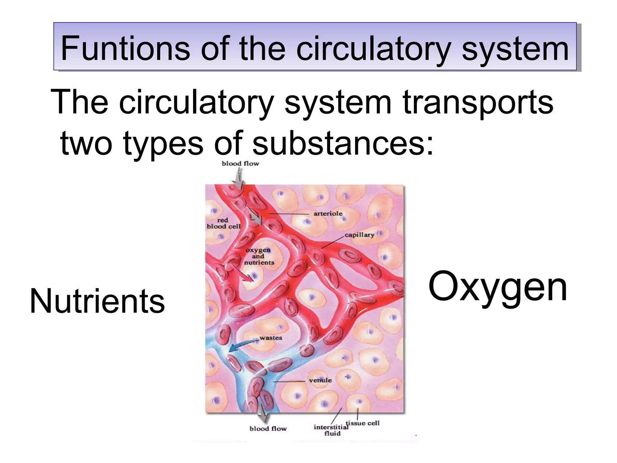 Circulatory system unit two | PPT