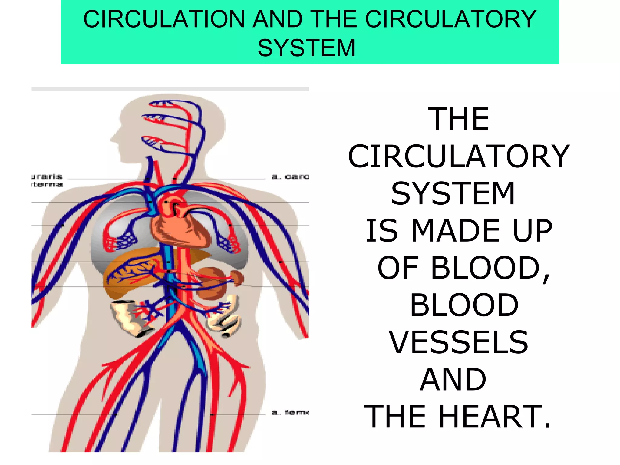 Circulatory system unit two | PPT