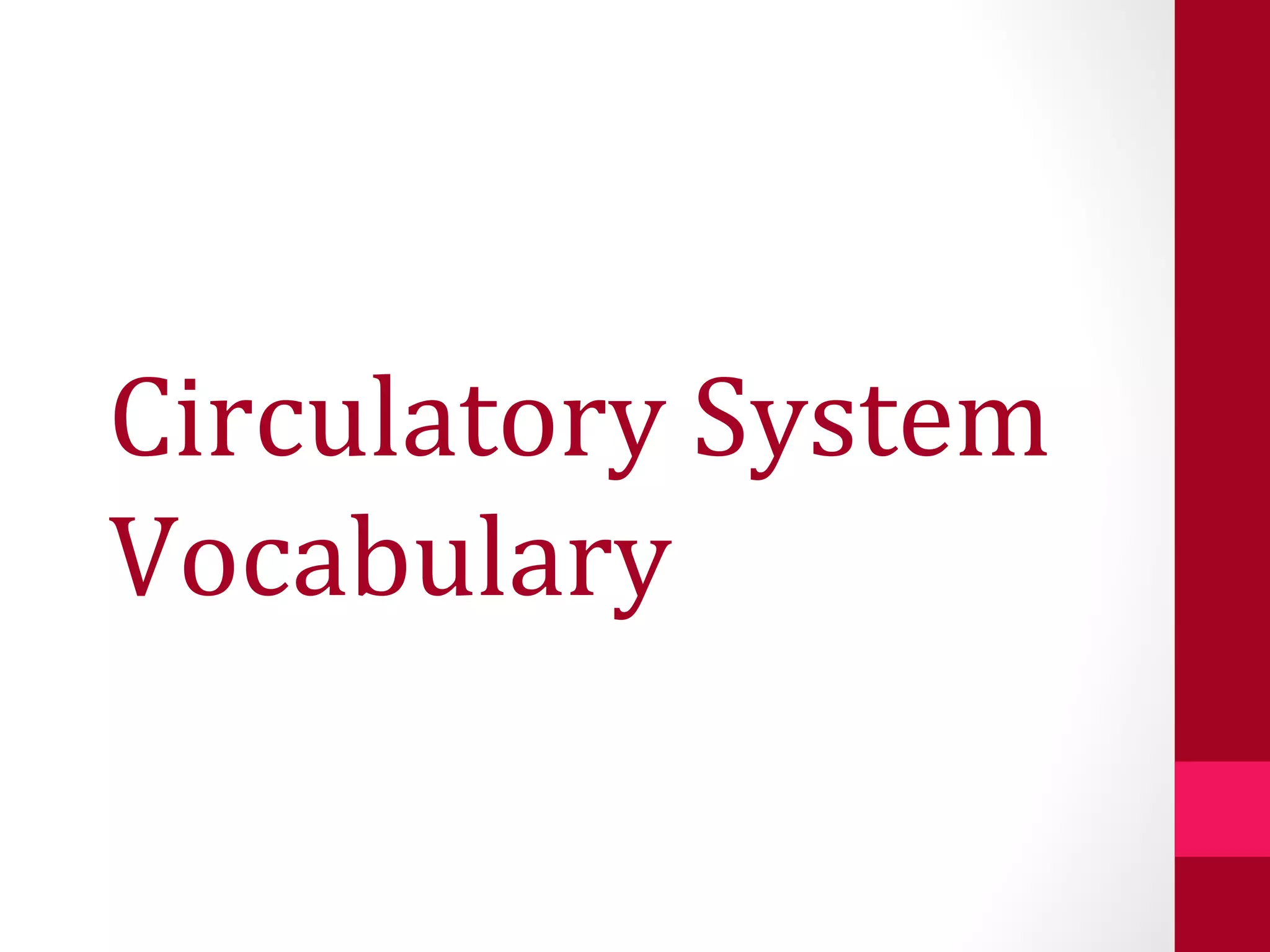 Circulatory System Vocabulary | PPT