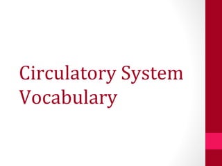 Circulatory System Vocabulary | PPT