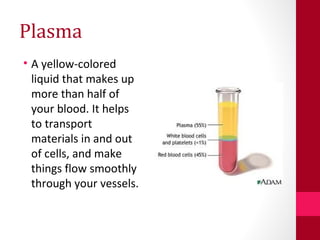 Circulatory system vocabulary | PPT