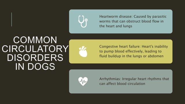 circulatory system in dog and how the circulatory system and its ...
