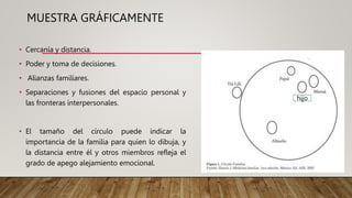 CIRCULO FAMILIAR.pptx