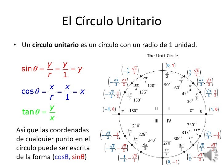 Circulo unitario