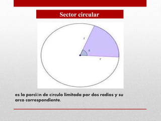 Circulo y circunferencia y sus elementos | PPTX