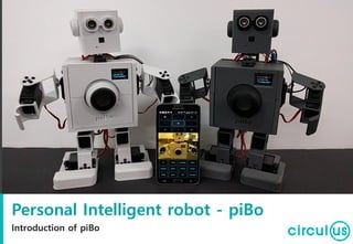 piBo- Personal Intelligent roBOt | PPT